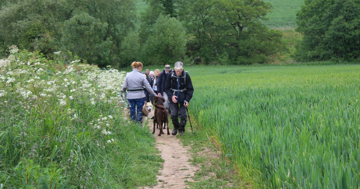 Denby Area - Ramblers